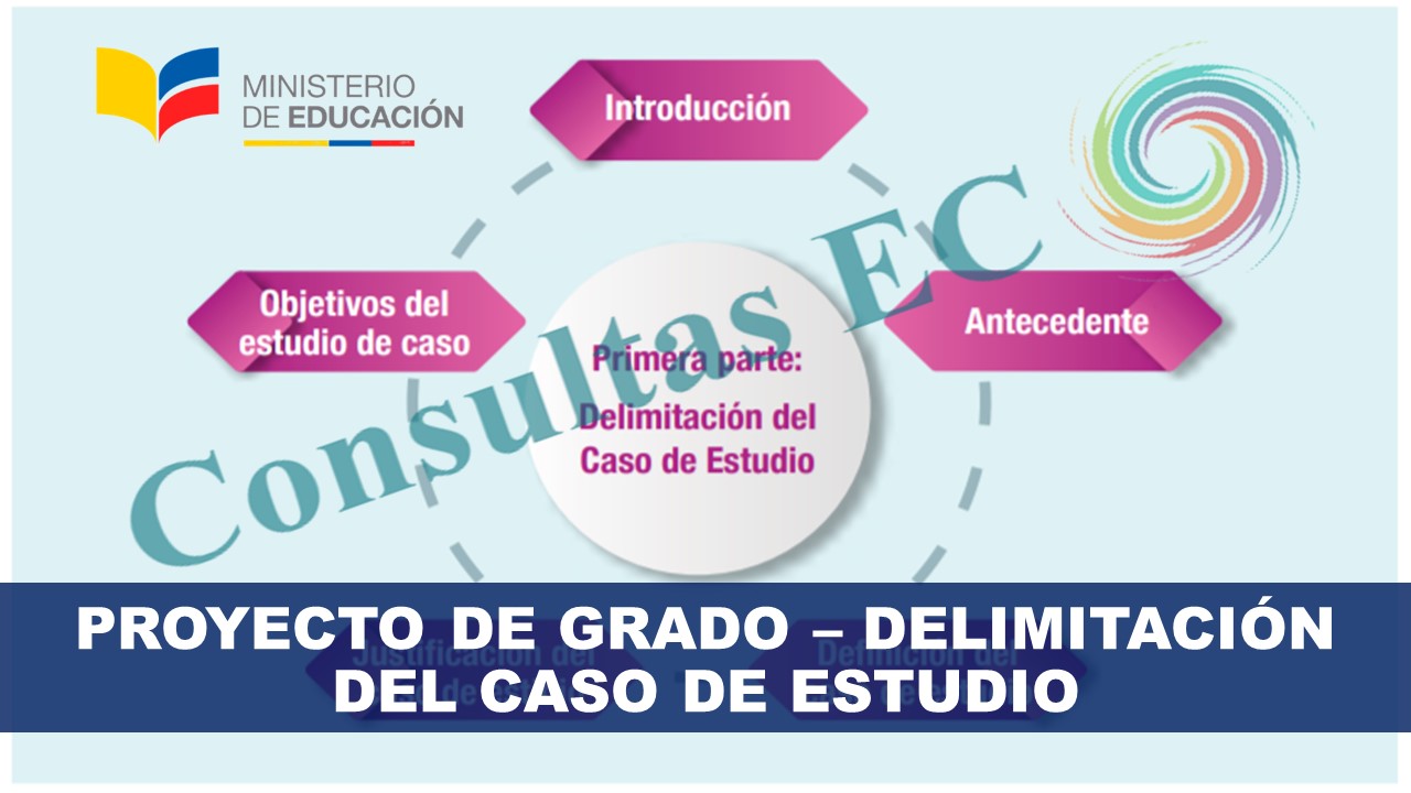 ≫ Proyecto de grado – Delimitación del caso de estudio (2025)